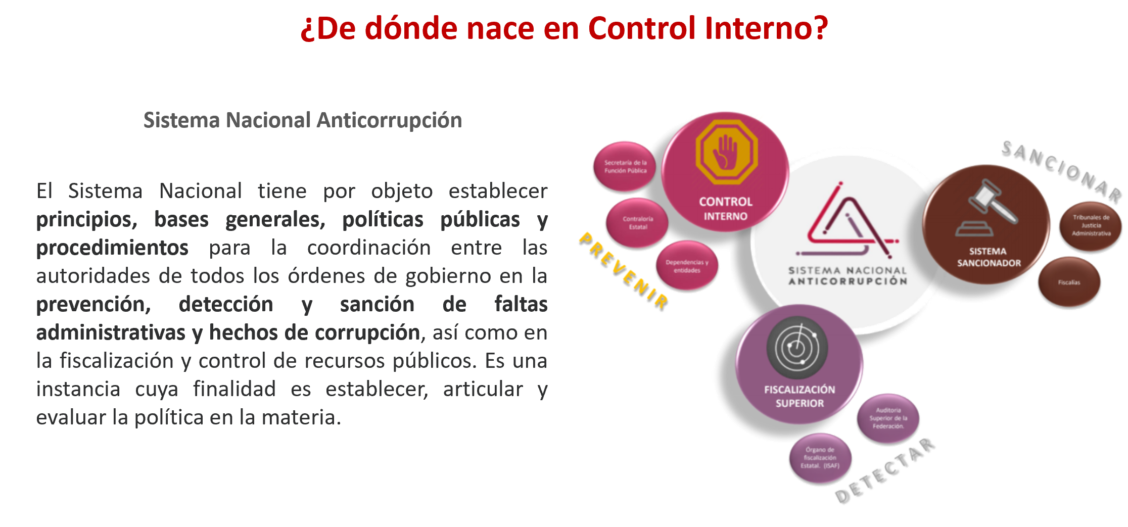 queescocodi – COCODI queescocodi – COCODI